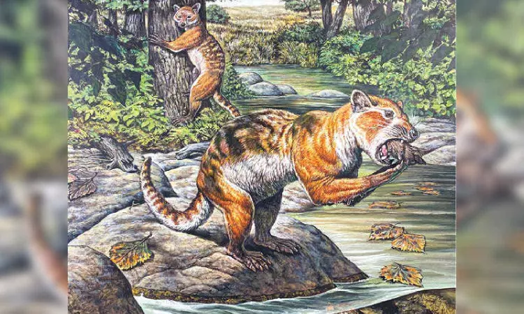 This Animal May Have Went Extinct due to its Appetite - Letterly Journal