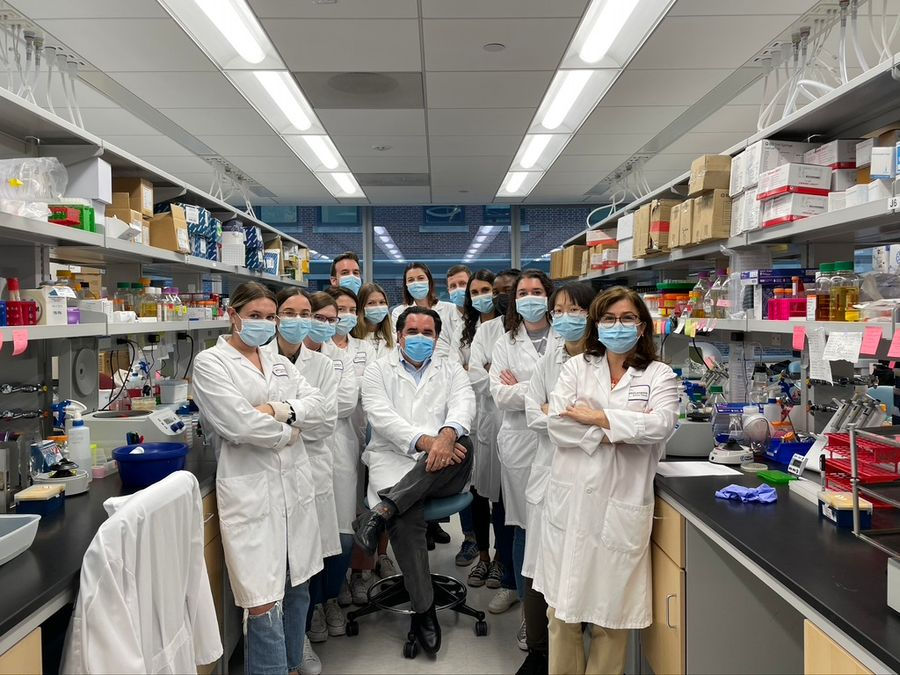 Scientists Reveal how golden staph turns deadly - Letterly Journal