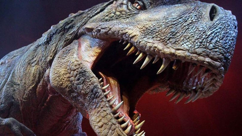 The T. Rex's Ferocious Teeth May Have Been Hidden by Lips - Letterly ...