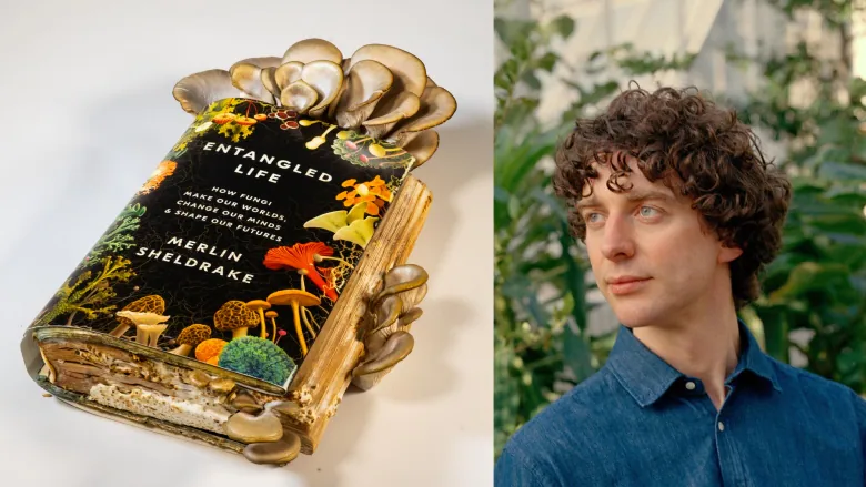 Merlin Sheldrake Saves the Planet with Fungi - Letterly Journal