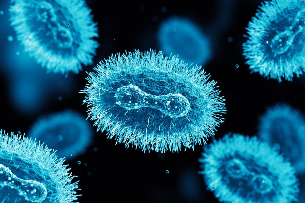 Scientists Reveals How Golden Staph Turns Deadly - Letterly Journal
