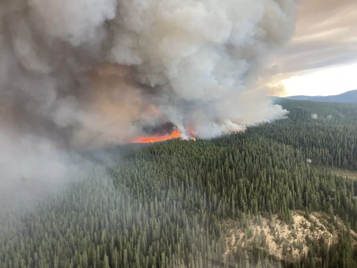 Wildfires in Canada Force Indigenous People to Evacuate - Letterly Journal
