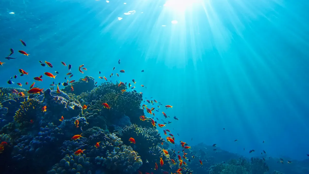 Underwater - Letterly Journal