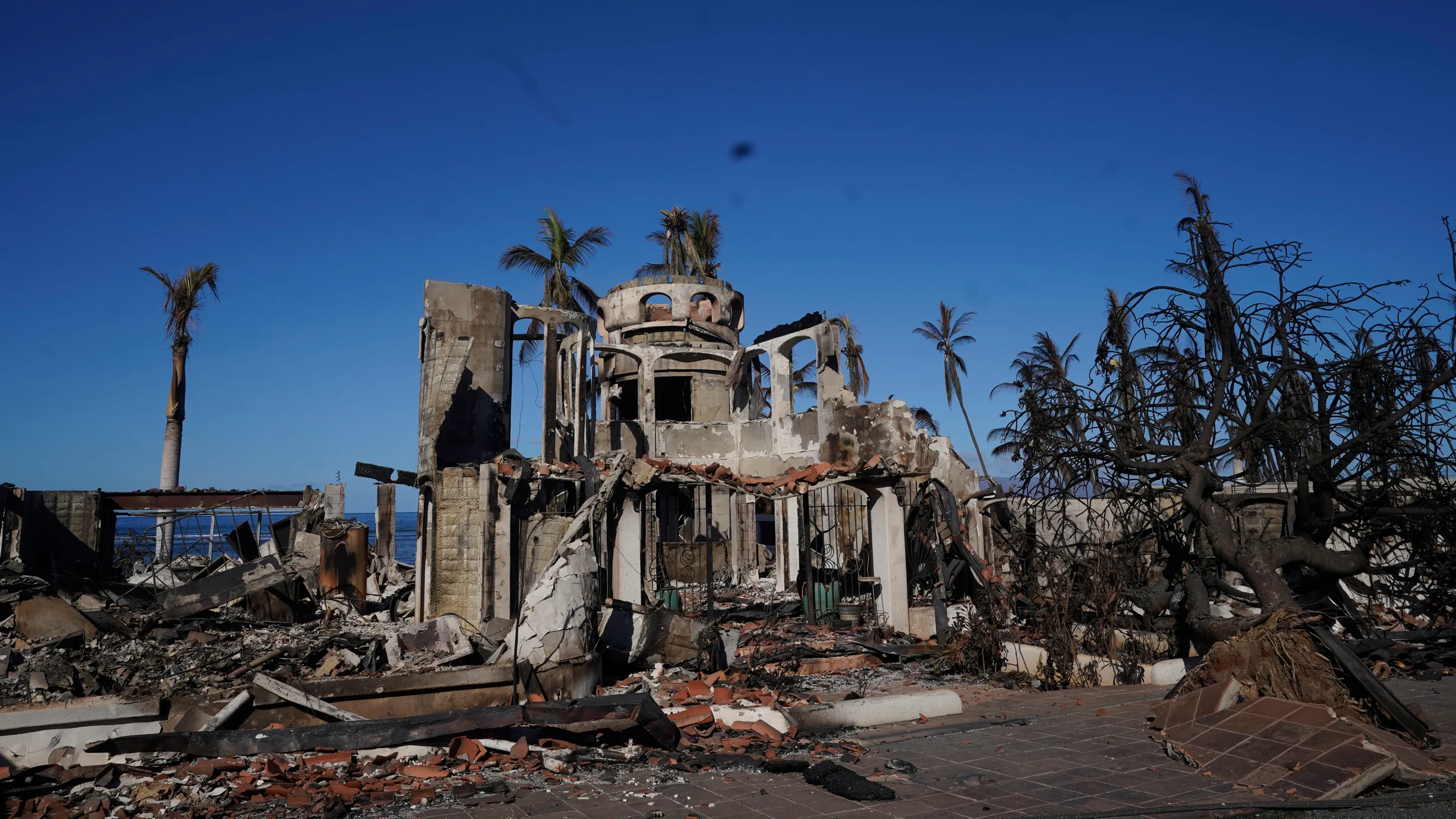 ‘The Worst Natural Disaster Hawaii Ever Faced’ Caused By Maui Wildfires ...