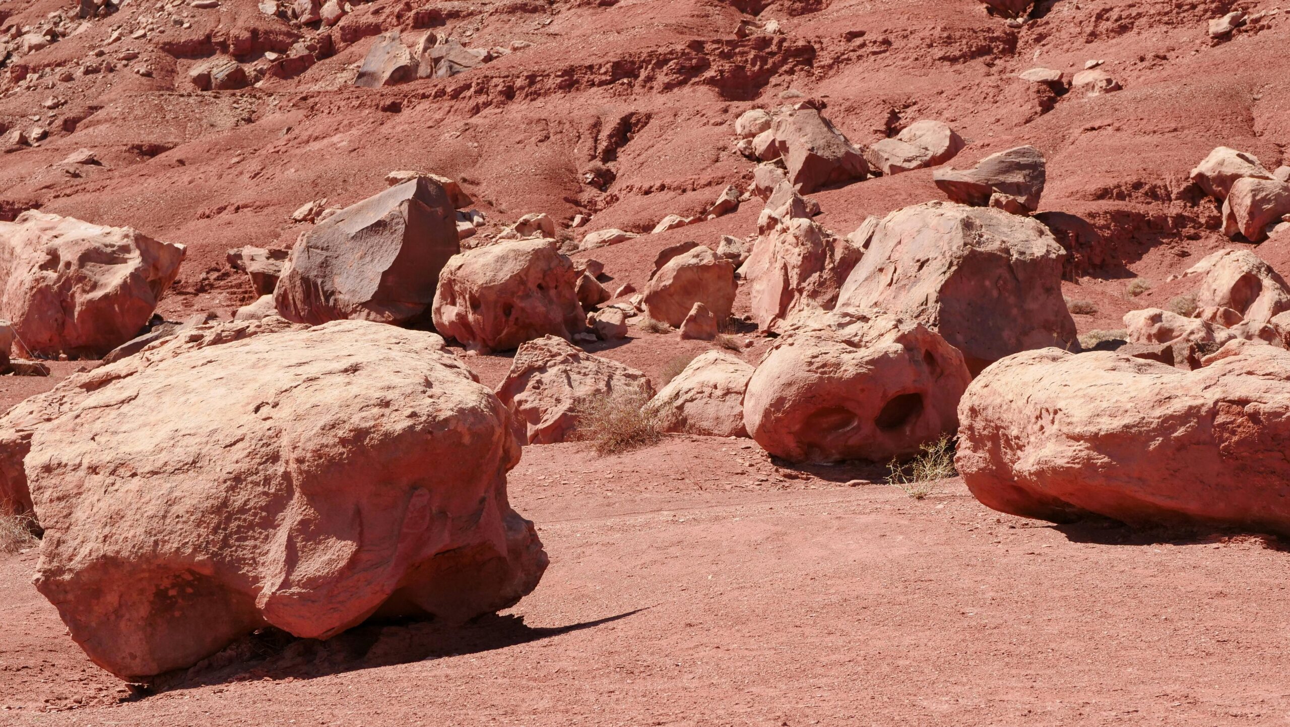 Rare Crystals Are Found By NASA Rover On Mars - Letterly Journal