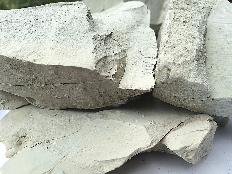 Saving the World With “Edible Cement” - Letterly Journal