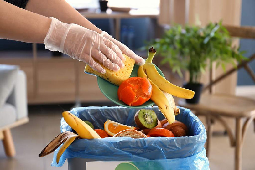 Scientists Stop Food Waste - Letterly Journal