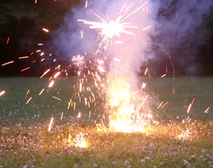 Desmond Lewis: Sculpture and Pyrotechnician - Letterly Journal