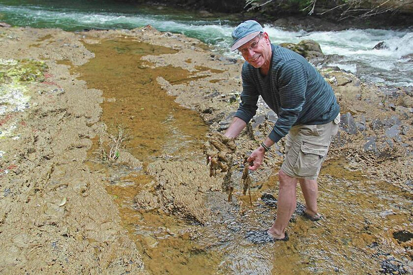 Rock Snot is Affecting the Ecosystem - Letterly Journal