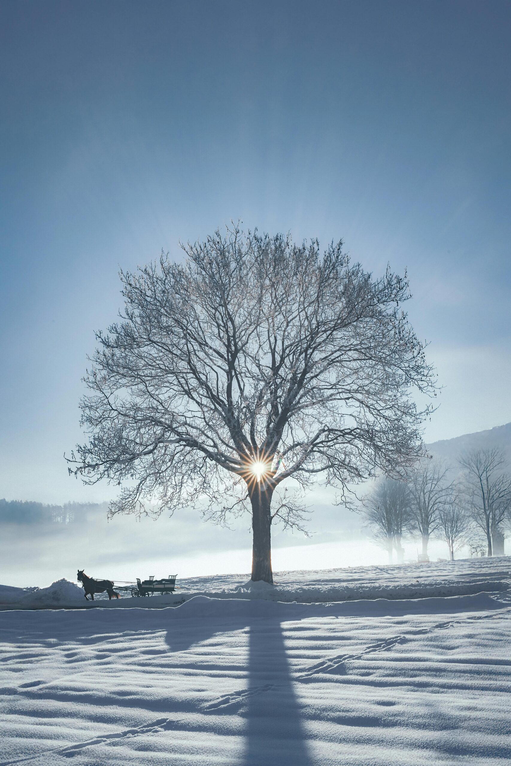 Dear Future Me - Letterly Journal