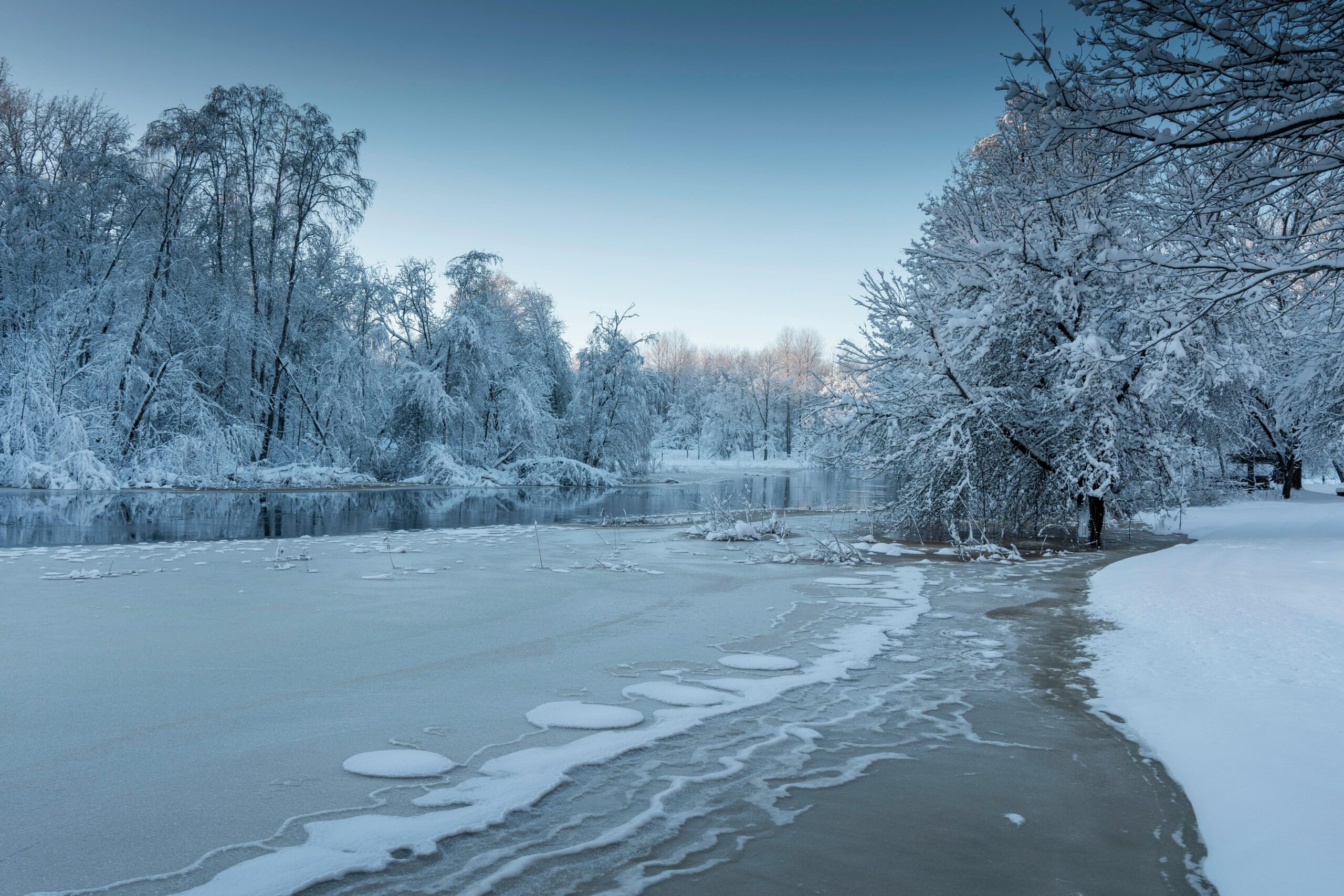 The Winter Wish - Letterly Journal