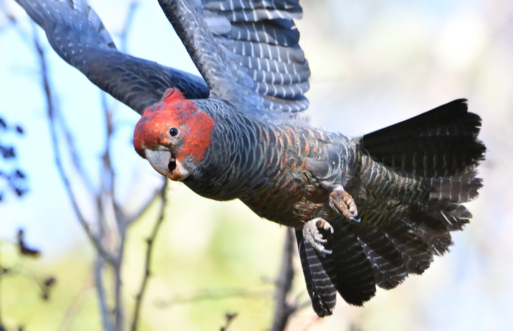 What is Mermay, and Why Are Artists So Excited about this contest ...