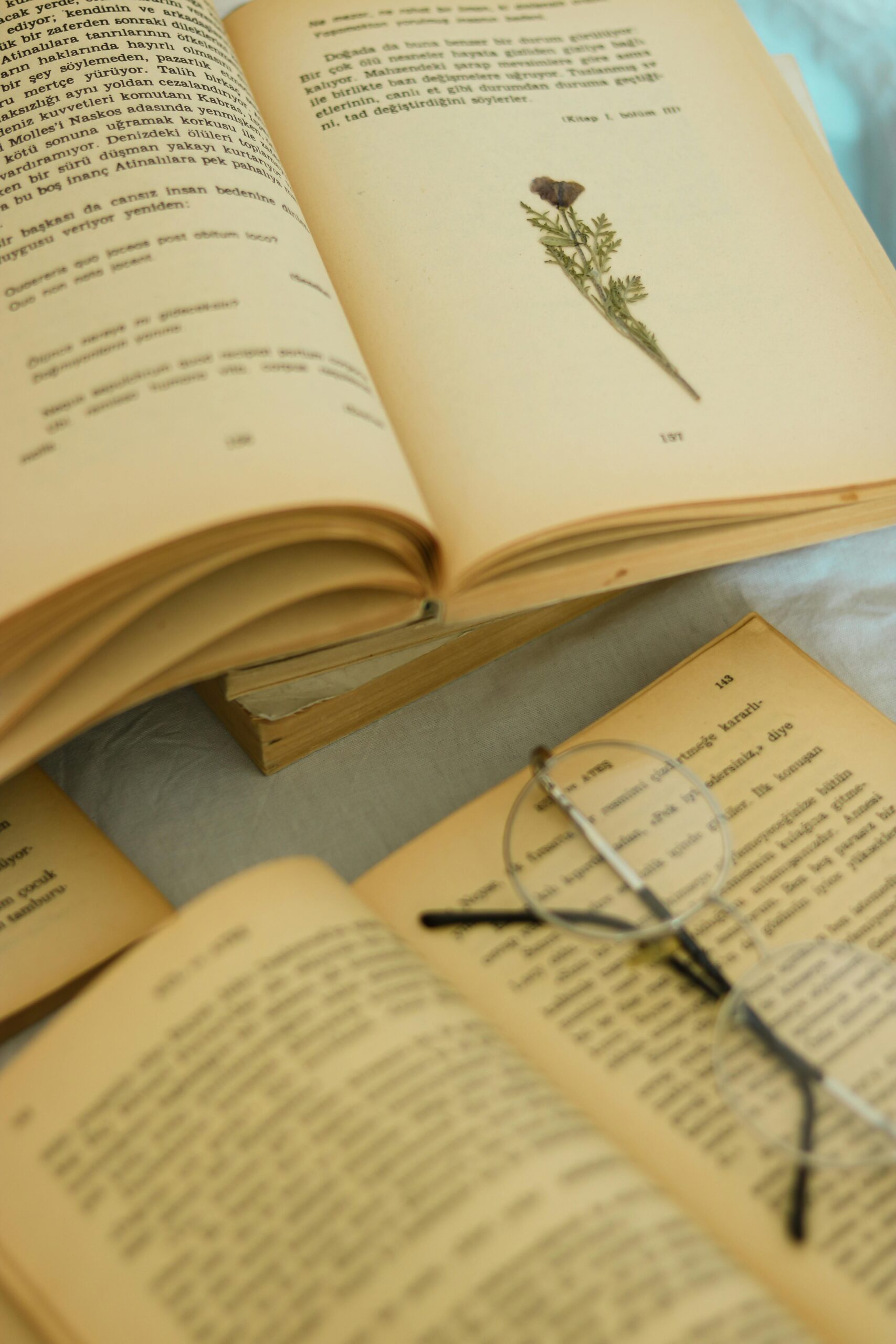 A Duet of Two Poems - Letterly Journal