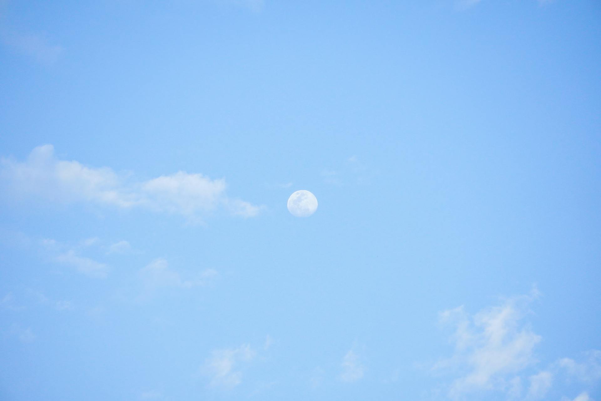 The Moonless World - Letterly Journal