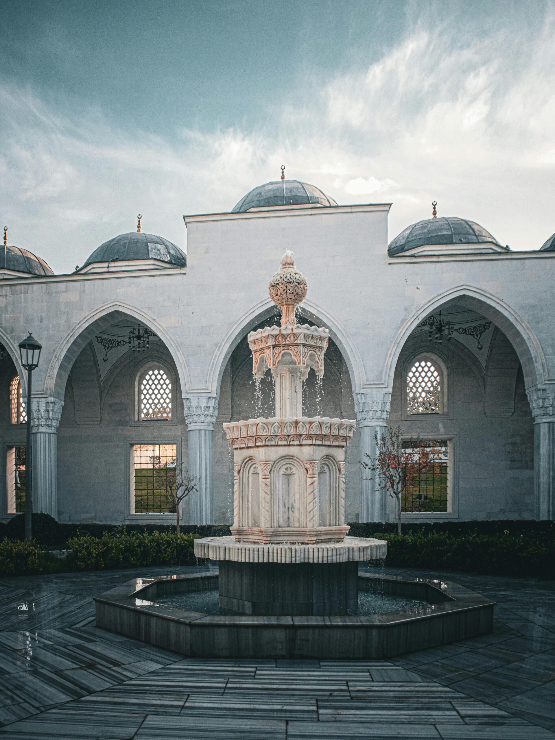 Clever Cockatoos Mimicking Hum - Letterly Journal