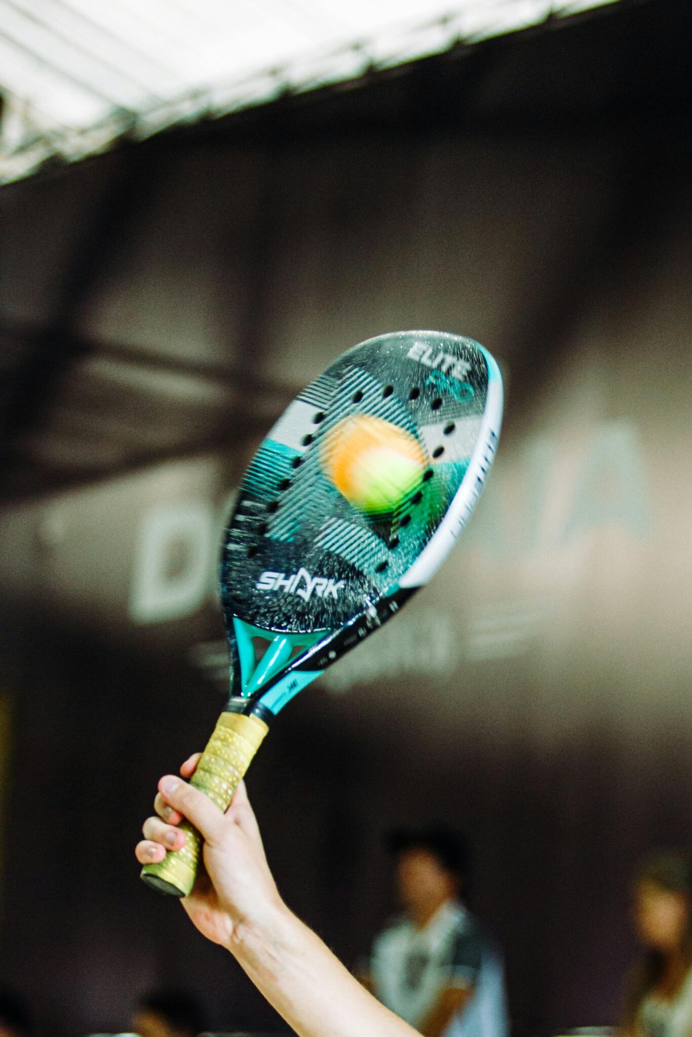 Lost Tortoise Rescued From Train Tracks - Letterly Journal