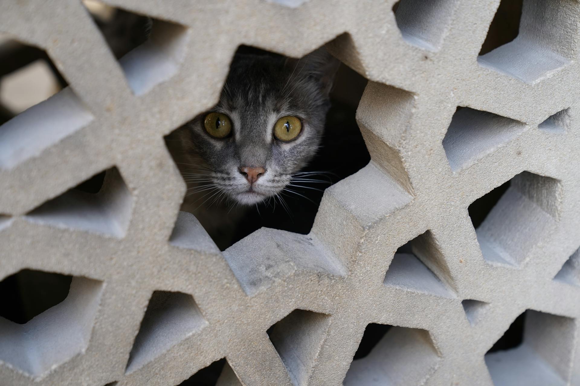 Nobara’s Straw Doll Technique Explained - Letterly Journal