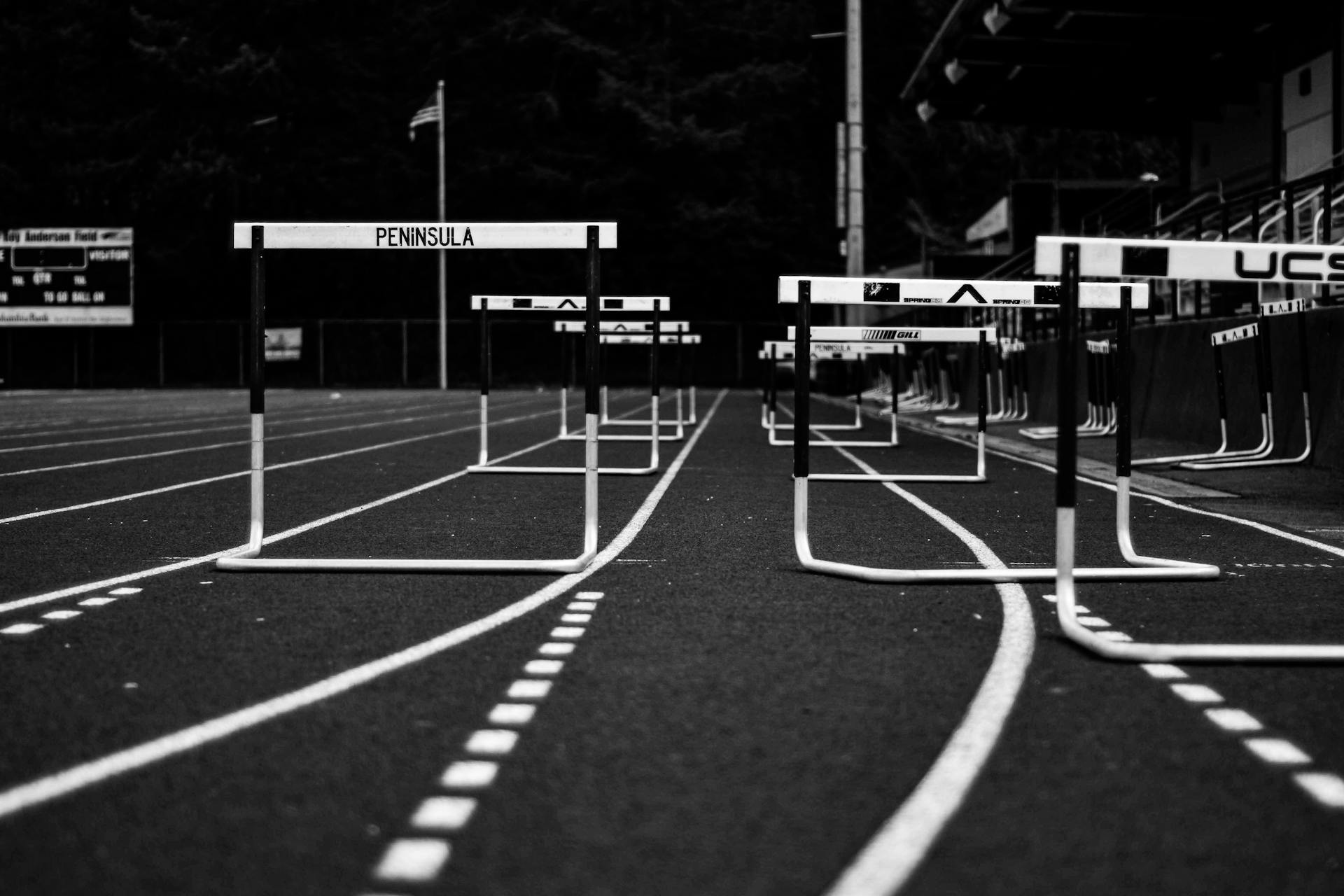 The World Athletics Championship! - Letterly Journal